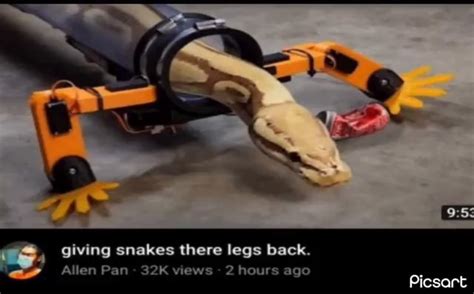Giving Snakes There Legs Back Allen Pan Views 2 Hours Ago Ifunny