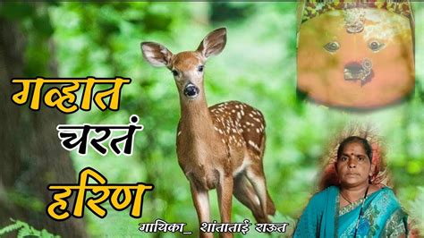 गवहत चरत हरण कस र दद करडच कल बजवन शततई रऊत YouTube