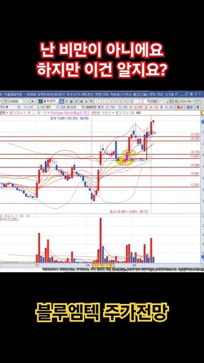 난 비만이 아니에요 하지만 이건 알지요 블루엠텍 주가전망 에이피알 두산로보틱스 에코프로에이치엔 포스코홀딩스 알테오젠