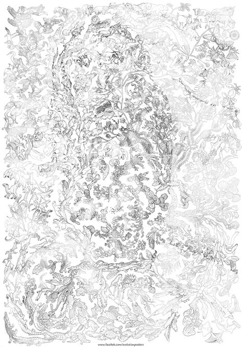 Evolution Posters Blogg