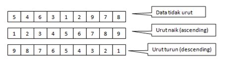 Pengertian Bubble Sort Dan Implementasinya FJRAR Note