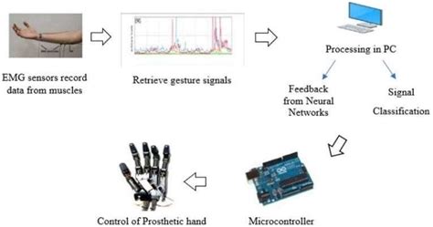 Block Diagram Of The Methodology Download Scientific Diagram