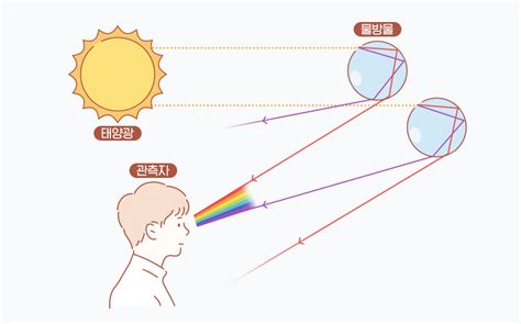 온실가스 때문에 무지개를 더 자주 볼 수 있다고 Lx인터내셔널 공식 블로그