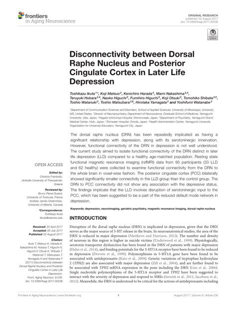 Pdf Disconnectivity Between Dorsal Raphe Nucleus And Posterior