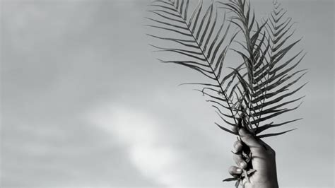 Holy Week Plan And New Podcast For Moms Through The Word