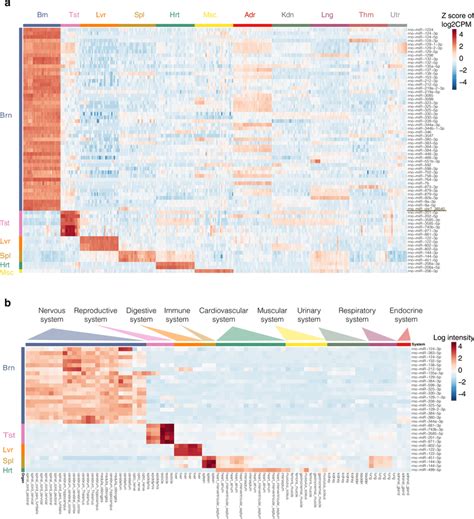 Validation Of Organ Specific Mirna Signatures In A Microarray Dataset