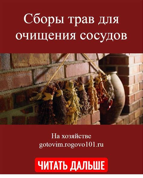 Сборы трав для очищения сосудов Трава Рецепты Фитотерапия
