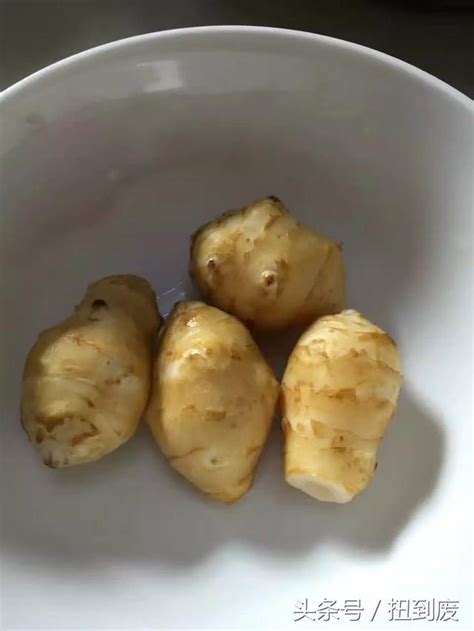 川菜的精髓所在之 回鍋肉 每日頭條