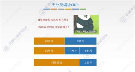 王道计算机网络课代表 考研计算机 第四章 网络层 究极精华总结笔记 在因特网中 能否使用一个很大的switch来代替因特网中全部的路由器