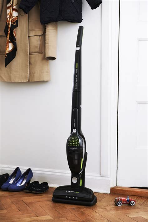 Ergorapido Plus Green – environmentally conscious instant cleaning ...
