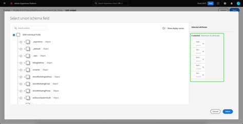 Profile Detail Customization In The Ui Adobe Experience Platform