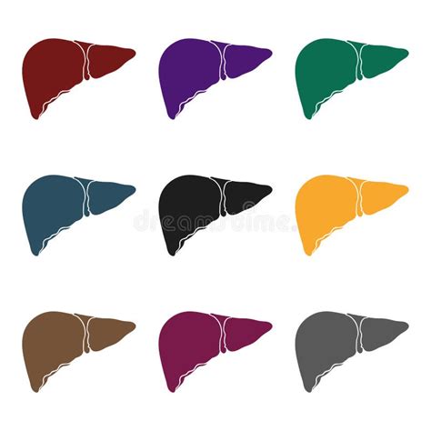 Human Liver Icon In Cartoon Style Isolated On White Background Human