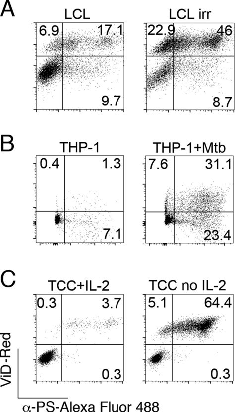 Fixation And Permeabilization