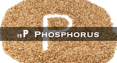 15 磷 Phosphorusー生命的元素 化学空间 Chem Station