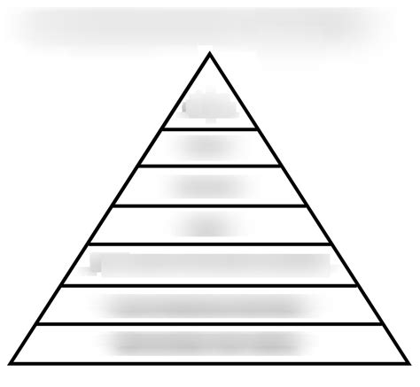 Hierarchy Diagram Quizlet