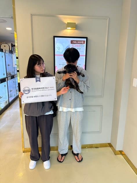 풍산개 믹스 바람 유기견입양 유기묘입양 강아지입양 소형견입양 중형견입양 대형견입양 말티즈입양 말티푸입양 비숑프리제입양 미니비숑프리제입양 포메라니안입양 푸들입양 골든리트리버