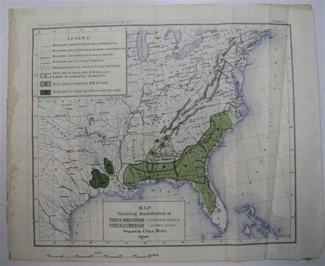 Map Showing Distribution Of Pinus Palustris Longleaf Pine And Pinus