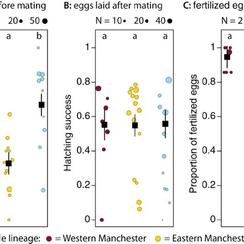 Reproductive Mode Differences Between Females Of The Three Genetic Download Scientific Diagram