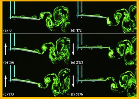 31 Dye Visualizations Of The Vortices Generated By The Heaving Download Scientific Diagram