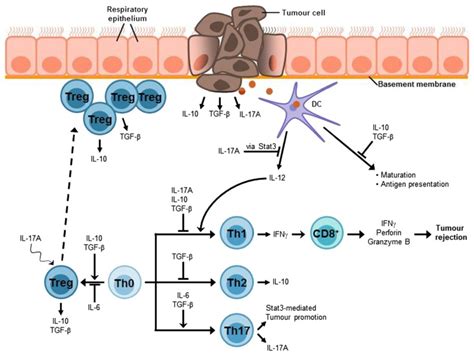 Lung Cancer Associated Immunosuppressive Microenvironment An Efficient