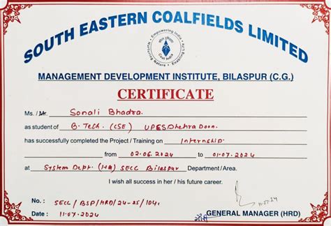 sonali bhadra on linkedin internship gratitude learning careergrowth professionaldevelopment