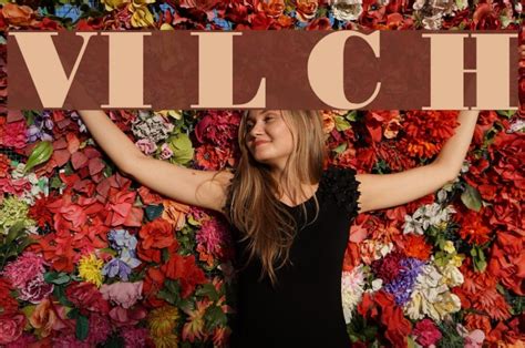 VI Le Chi Hoa Font FFonts Net