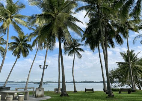 8 Amazing Discoveries At Pasir Ris First Heritage Trail Honeycombers