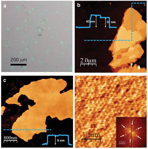 Initial Characterization Of HBN A Optical Microscopy Image Showing