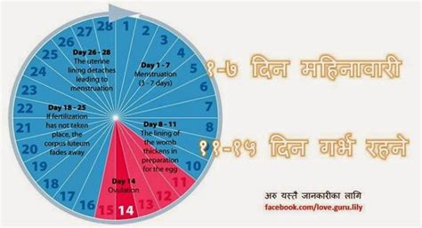 When Does Sexual Intercourse Prevent Pregnancy