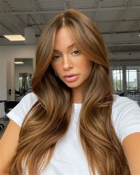 Pin By Futurepossibility Faceless Ma On Hair Light Brown Hair