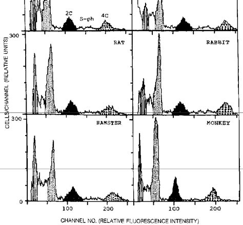Representative Flow Cytograms Showing The Distribution Of Testicular