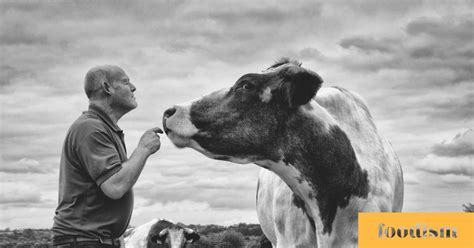 Is The Future Of The Dairy Industry A Sustainable One Foodism