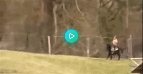 I Dont Know How To Explain This   On Imgur