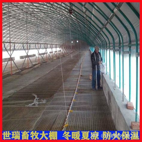 建设肉鸭养殖大棚 全封闭鸭舍大棚搭建 养鸭大棚施工 知乎