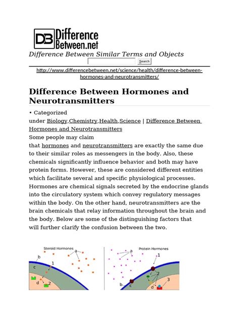 Hormones And Neurotransmitters Pdf Neurotransmitter Hormone