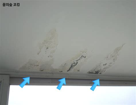 연수구 아파트 층간 누수 창틀 코킹 어느집이 문제일까 네이버 블로그