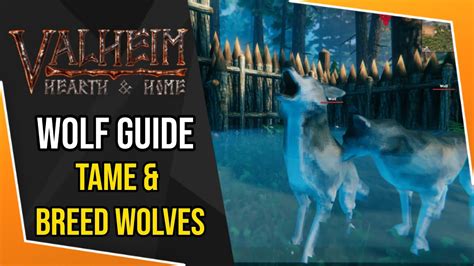 All You Need To Tame And Breed Wolves Valheim How To Youtube