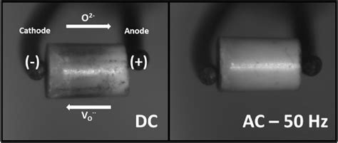 Optical Images Of Flashed Ysz Samples Using Dc And Hz Ac Fields Of