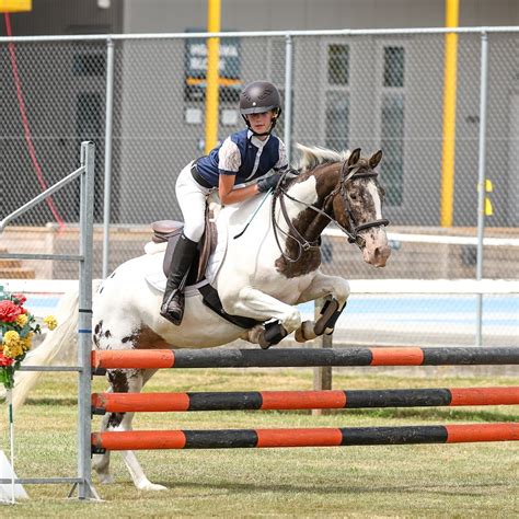 Clever Cookie Youtube