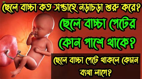 ছেলে বাচ্চা প্রথম কোন সপ্তাহে নড়াচড়া করে ছেলে বাচ্চা মায়ের পেটের কোন পাশে থাকে ছেলে