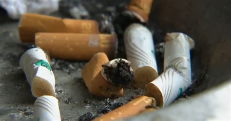 El Impacto De Las Colillas De Cigarrillo En El Medio Ambiente Cada Una