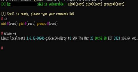 Exploiting Ivanti Connect Secure 9 X 22 X Vulnerabilities Cve 2024 21887 A Full Guide