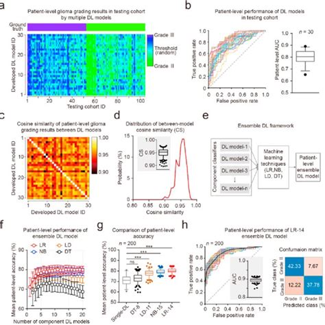 development and validation of dl models to achieve tile level glioma