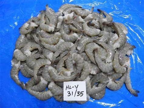 Pd Vannamei Shrimps And Prawns Iqf K V Marine Exports Chennai