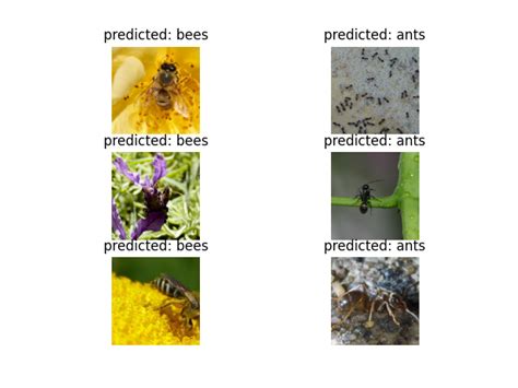 PyTorch 2 0 チュートリアル 画像と動画 転移学習チュートリアル Transformers Diffusers