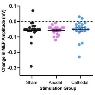 No Effect Of TDCS On Excitability In The Motor System Underlying Speech Download Scientific