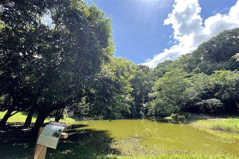 Quilombo Dos Palmares Memorial Mantém Viva História De Resistência Dos