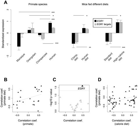 A Standard Normalized Expression Of Egr1 Black And Its Target Genes