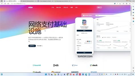 第十三期：cvv 条纹stripe的玩法 （二） Tom Cvv教程