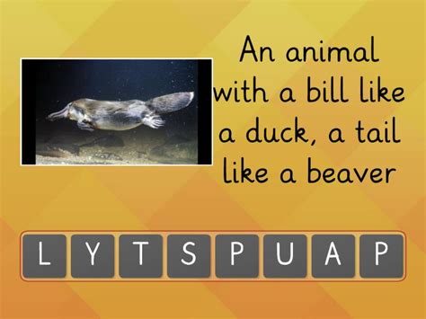 can you solve this anagram
